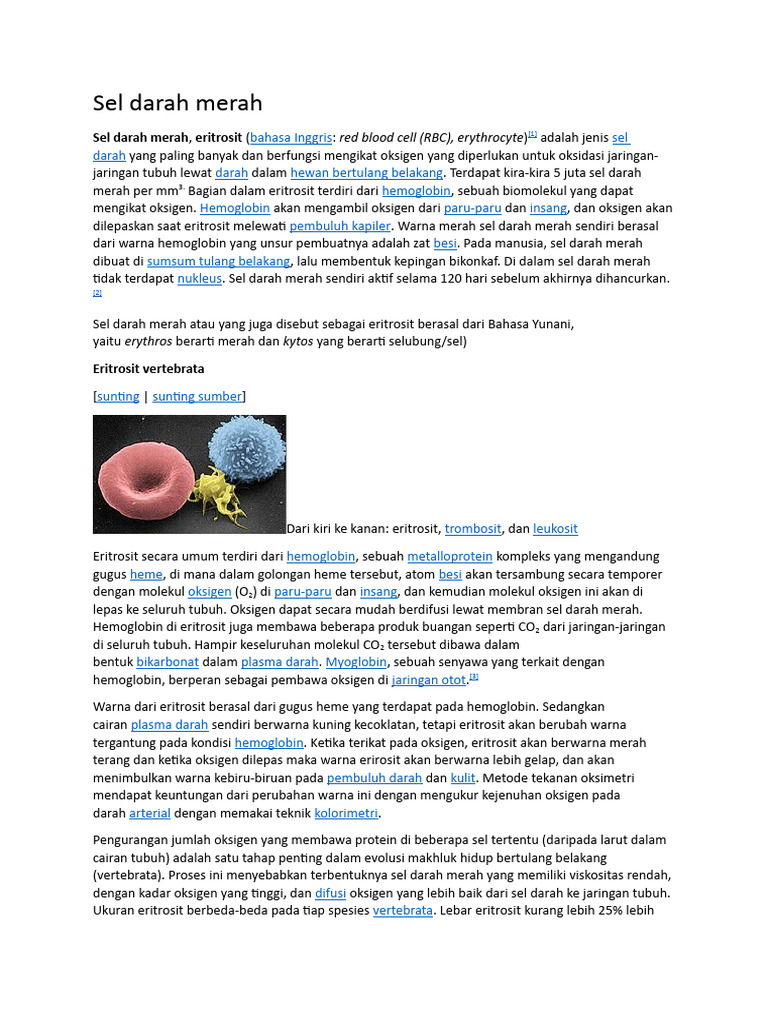 Sel Darah Merah | PDF | Kesehatan Holistik