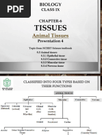 Animal Tissue Grade 10 Term 3 Notes Summaries | PDF