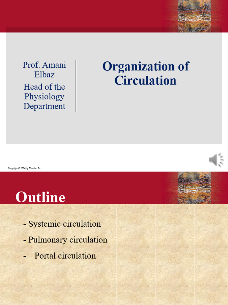 Rec-Organization of Circulation 2018 - 221031 - 235548 | PDF | Vein | Heart