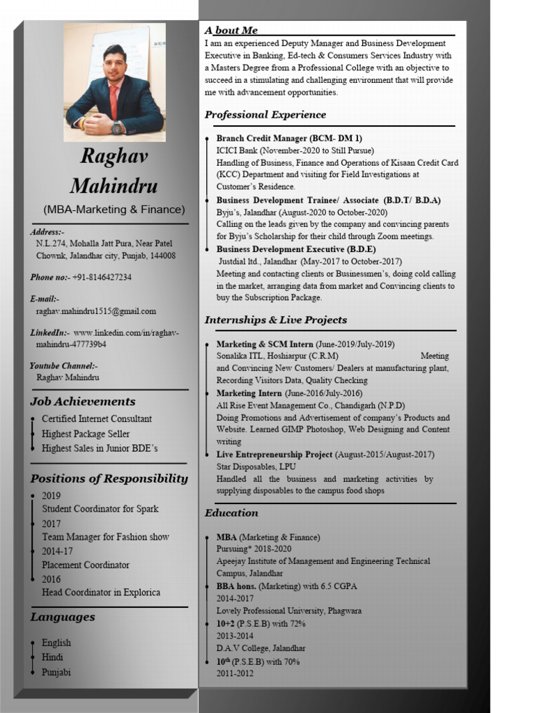 Last CV Raghav | PDF | Business