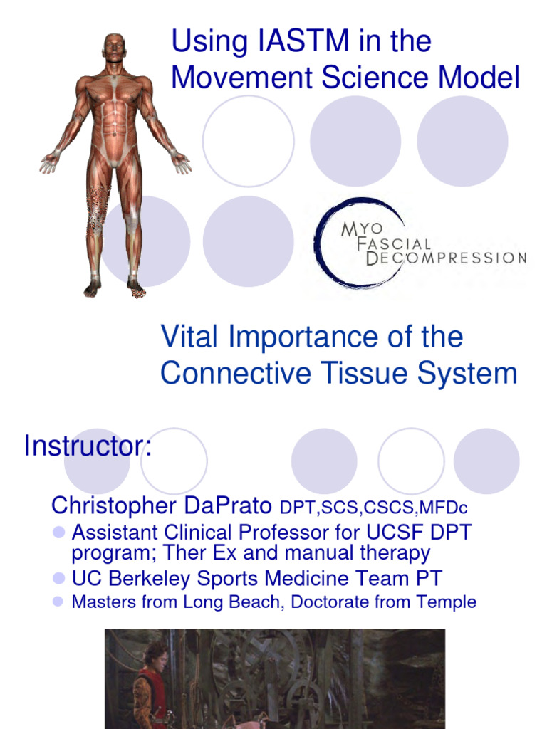 Using IASTM in The Movement Science Model Vital Importance of The ...