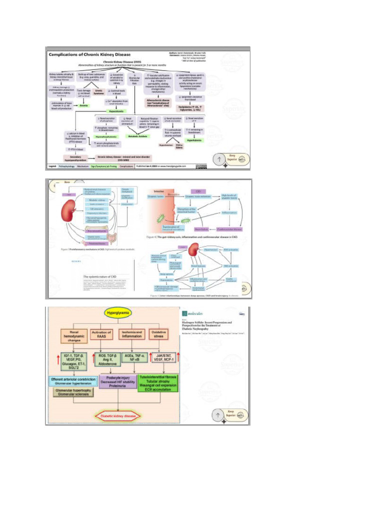 Gambar sk1 Edit | PDF