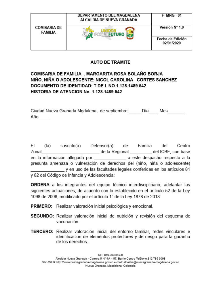 f19.p1.p Formato Auto de Tramite v1 | PDF