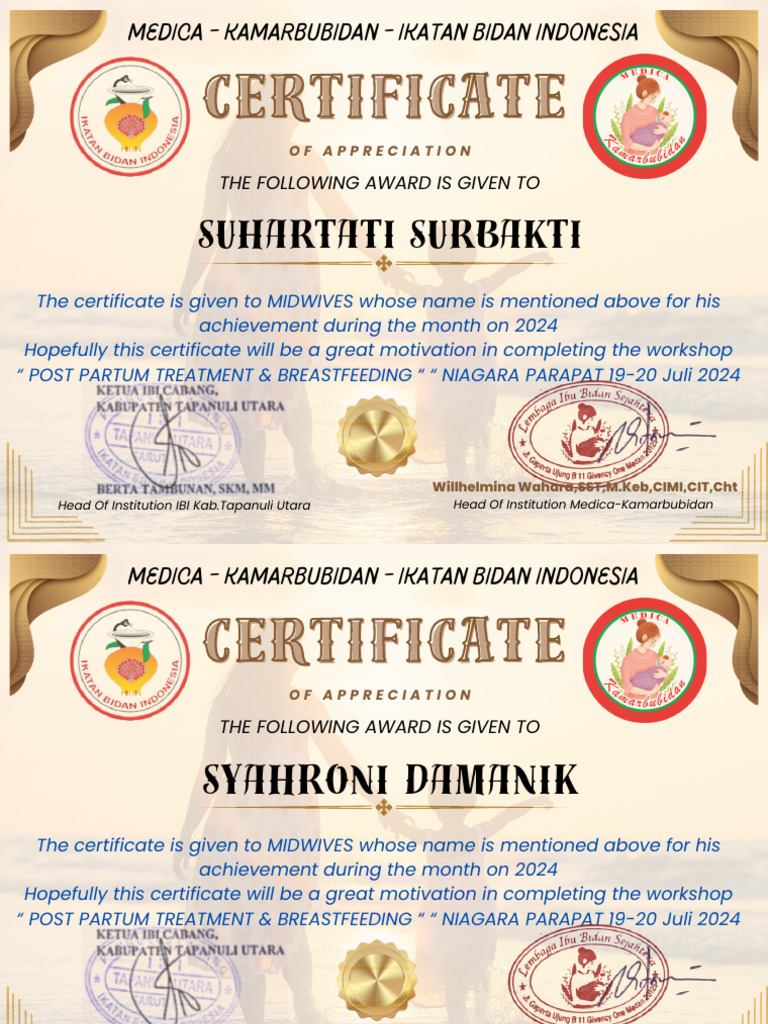 Sertifikat Seminar Dan Workshop Parapat | PDF | Motherhood | Woman
