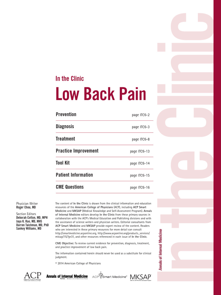 Low Back Pain | PDF | Back Pain | Low Back Pain
