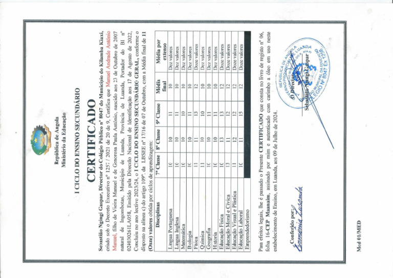 Certificado Emanuel | PDF