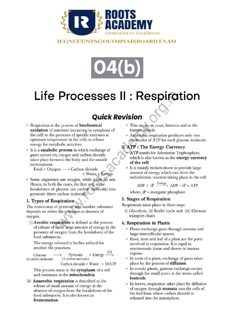 Respiration Notes Concept Based MCQ | PDF
