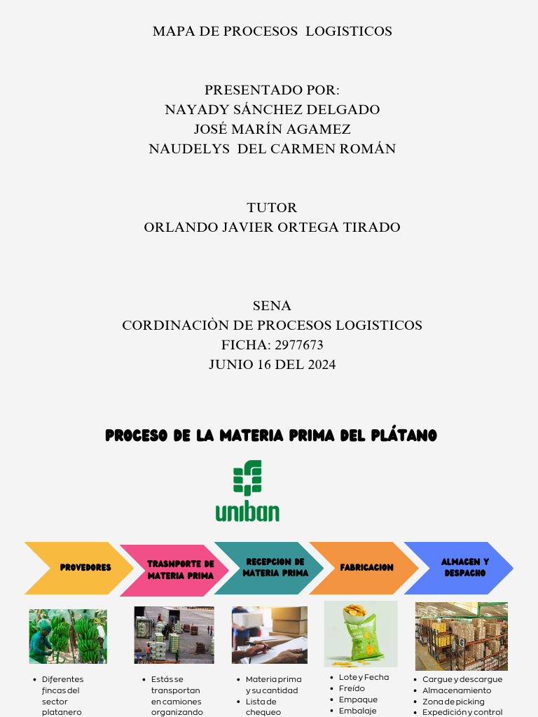 Mapa Procesos Logísticos | PDF