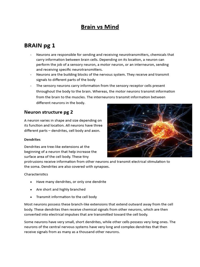 Brain Vs Mind | PDF | Neuron | Axon