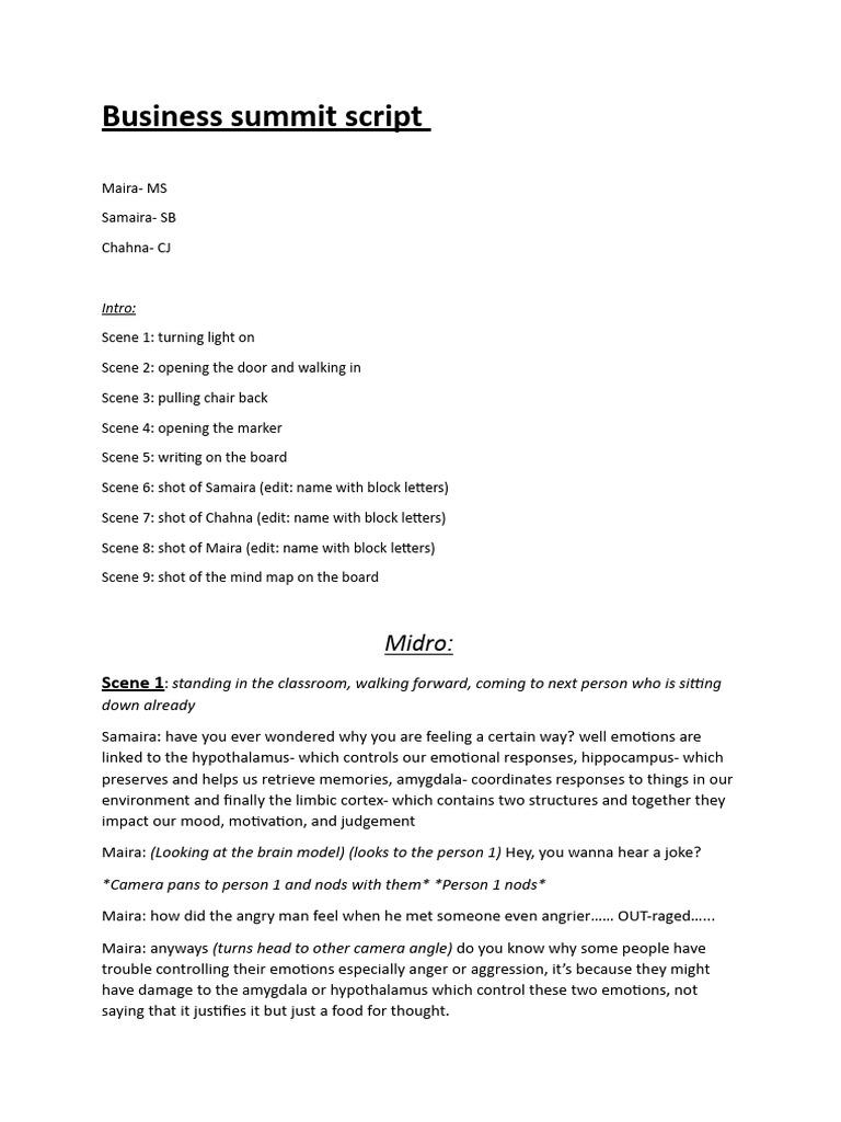 Business Summit Script | PDF | Memory | Limbic System