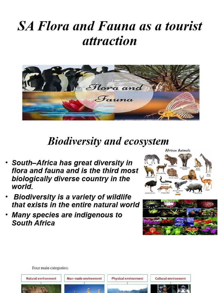 South Africa's Flora and Fauna Tourism | PDF | Biodiversity