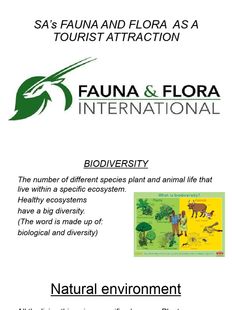 Sa's Fauna and Flora | PDF | Biodiversity | Hunting
