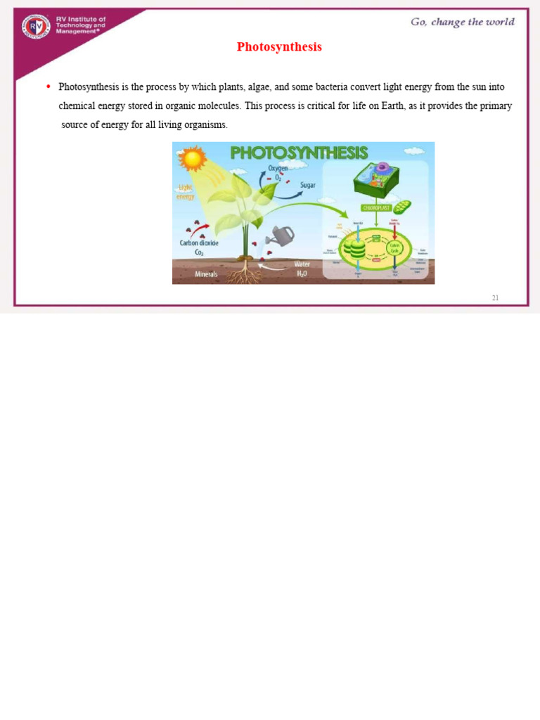 Photosynthesis | PDF | Photosynthesis | Photovoltaics