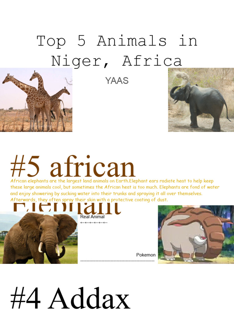 Top 5 Animals in Niger, Africa | PDF | Giraffe