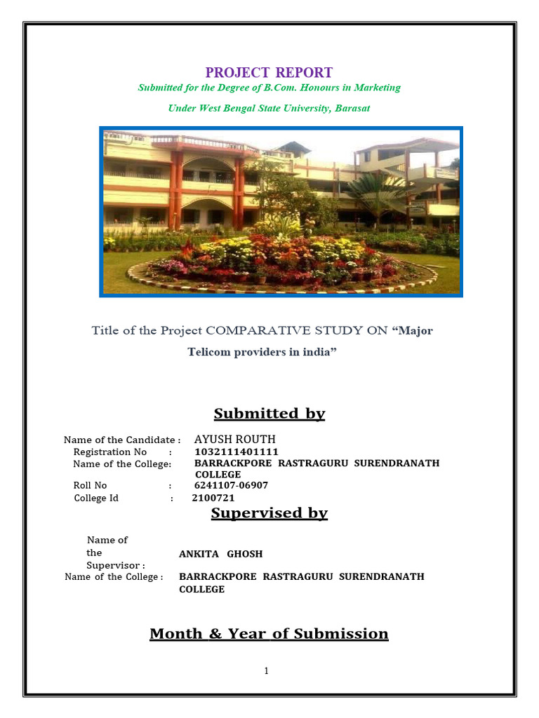 New Project 1 | PDF | Service Industries | Telecommunications