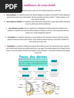 Anatomia dos Caninos Dentais | PDF | Dente | Rosto