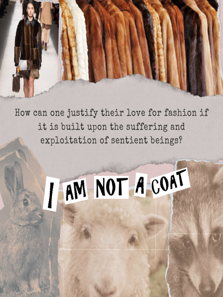 TEW - Animal Cruelty (Ig Post) | PDF | Cruelty To Animals | Animals And ...