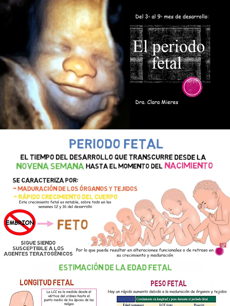 El Periodo Fetal | PDF | Placenta | Feto