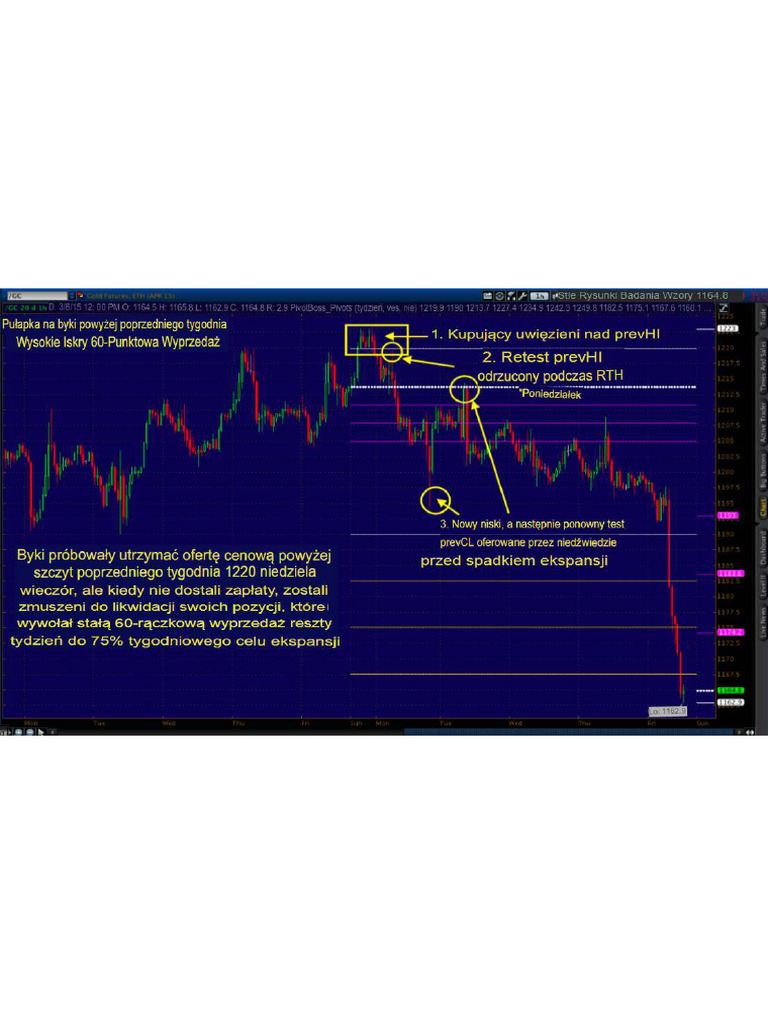 Introduction-to-PivotBoss-Pivots Zdjecia | PDF