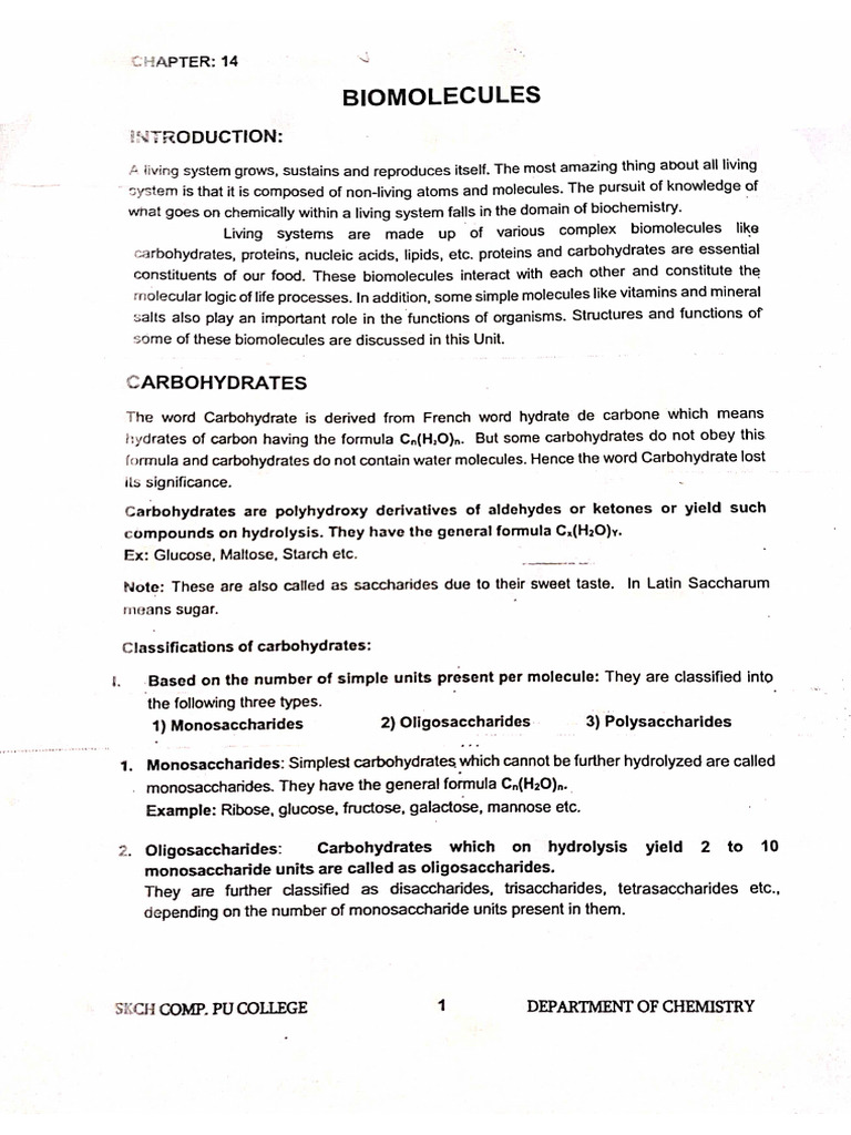 Biomolecules Notes For 12th Grade | PDF