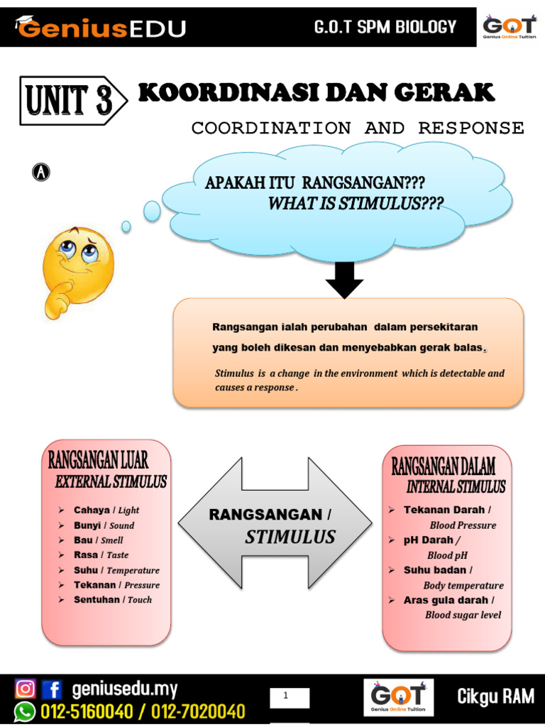 BIOLOGY F5 Chapter 3 Full | PDF | Wellness