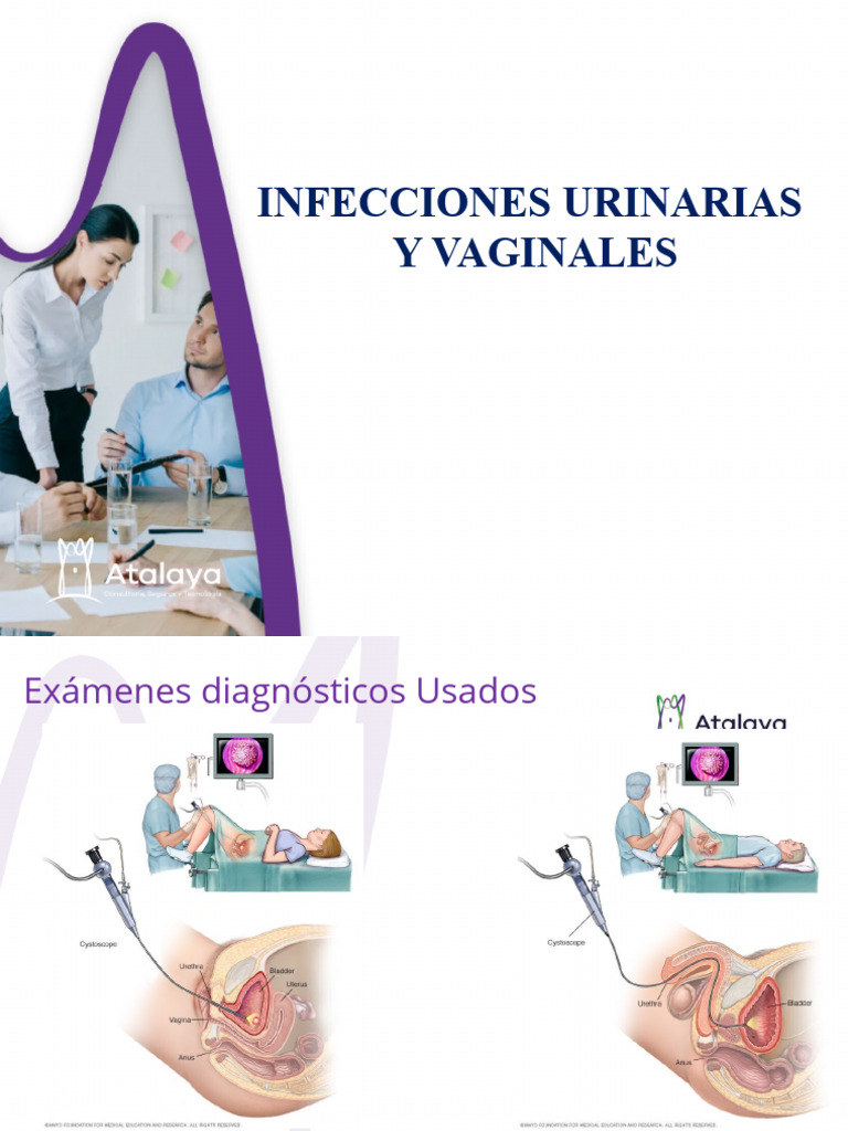 IU IV OK | PDF | Infección del tracto urinario | Sistema urinario