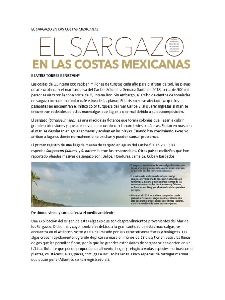 El Sargazo en Las Costas Mexicanas | PDF | Ciencias de la Tierra