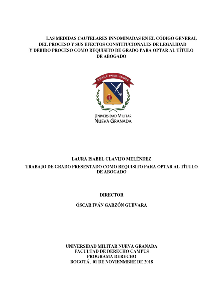 Clavijo Meléndez Laura Isabel 2019 | PDF | Mandato | Debido al proceso