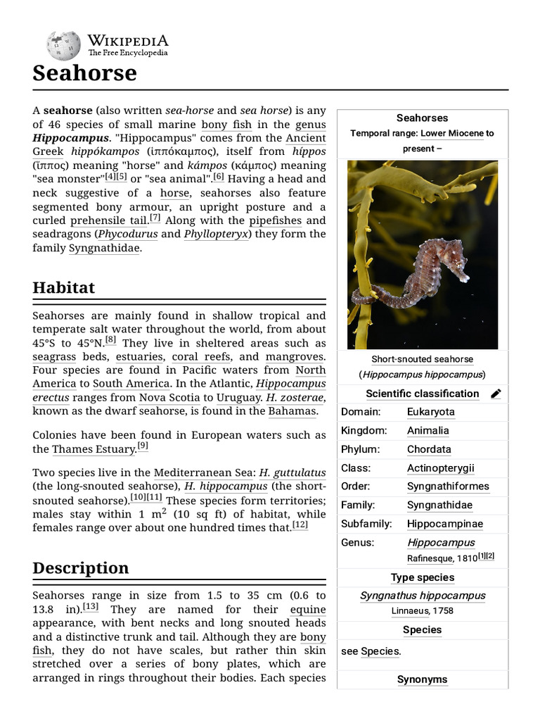 Seahorse - Wikipedia | PDF | Zoology