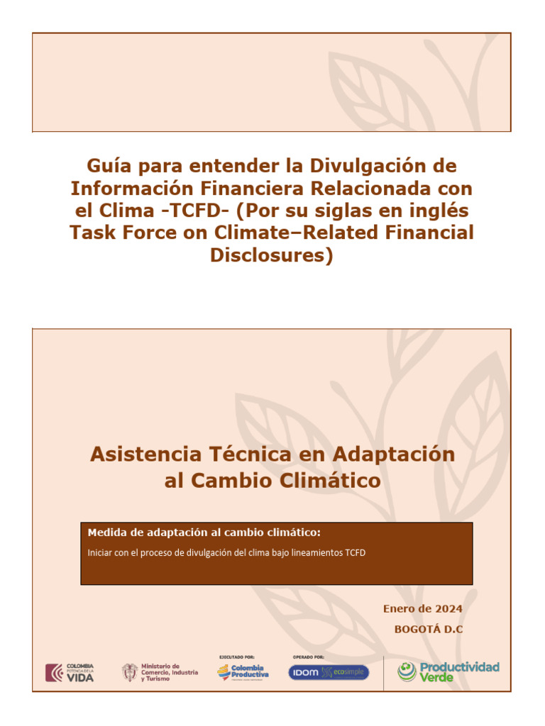 Guia para Entender El TCFD y Sus Pasos Iniciales | PDF | Business ...