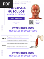 Músculo Orbicular da Boca: Funções e Estética | PDF | Boca | Anatomia
