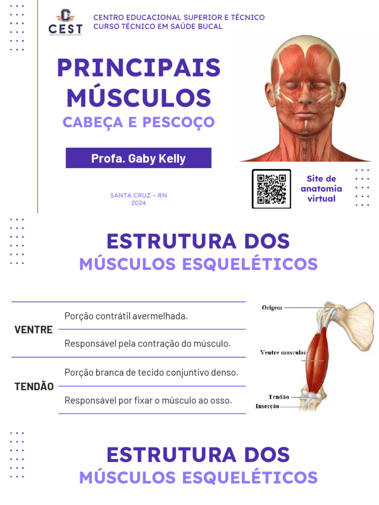 Anatomia dos Músculos da Cabeça e Pescoço | PDF | Cabeça e pescoço ...
