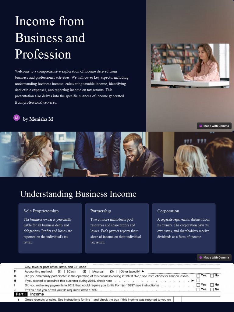 Income From Business and Profession | PDF | Taxes | Expense