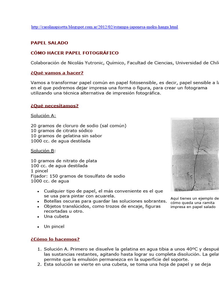 Papel Salado | PDF | Grabado | Litografía