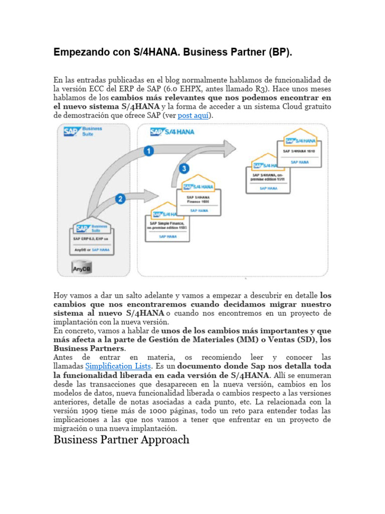 BPs en S4 HANA | PDF | Planificación de recursos empresariales | Informática