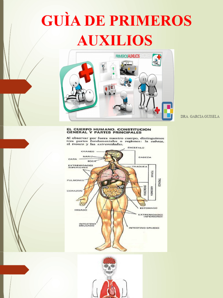 Capacitacion Primeros Auxilios Ok | PDF | Reanimación cardiopulmonar | Quemar