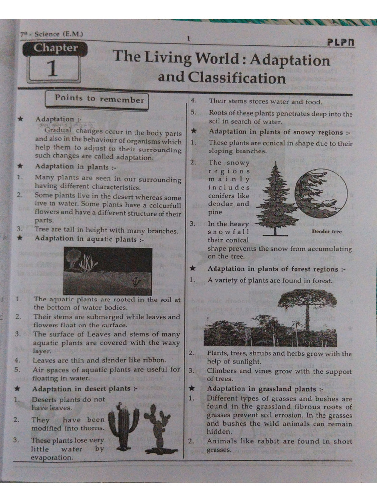 Std. 7 TH Chapter 1 Exersise | PDF