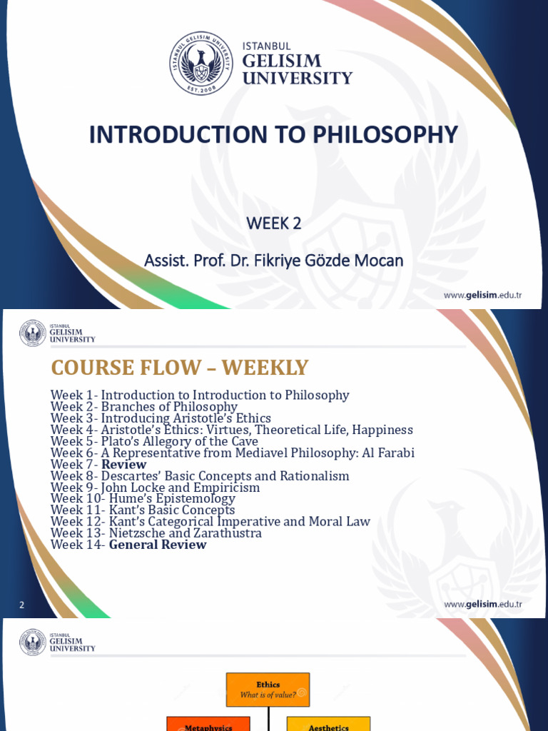 Hiii | PDF | Logic | Argument