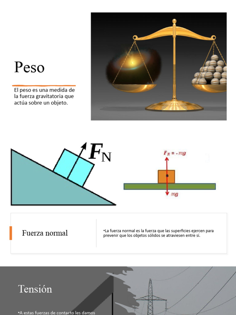 Conceptos Básicos de Fuerzas Físicas | PDF | Ciencia y matemáticas