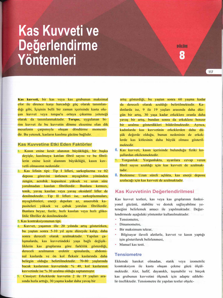 Kas Kuvveti Değerlendirme | PDF