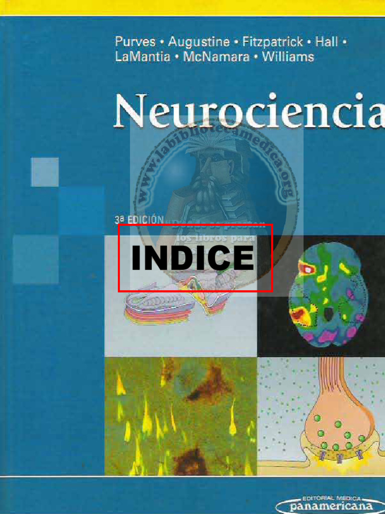 Neuro Cien CIA | PDF