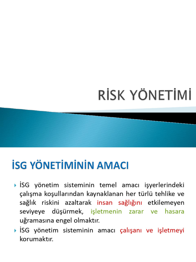 Risk Yonetimi | PDF