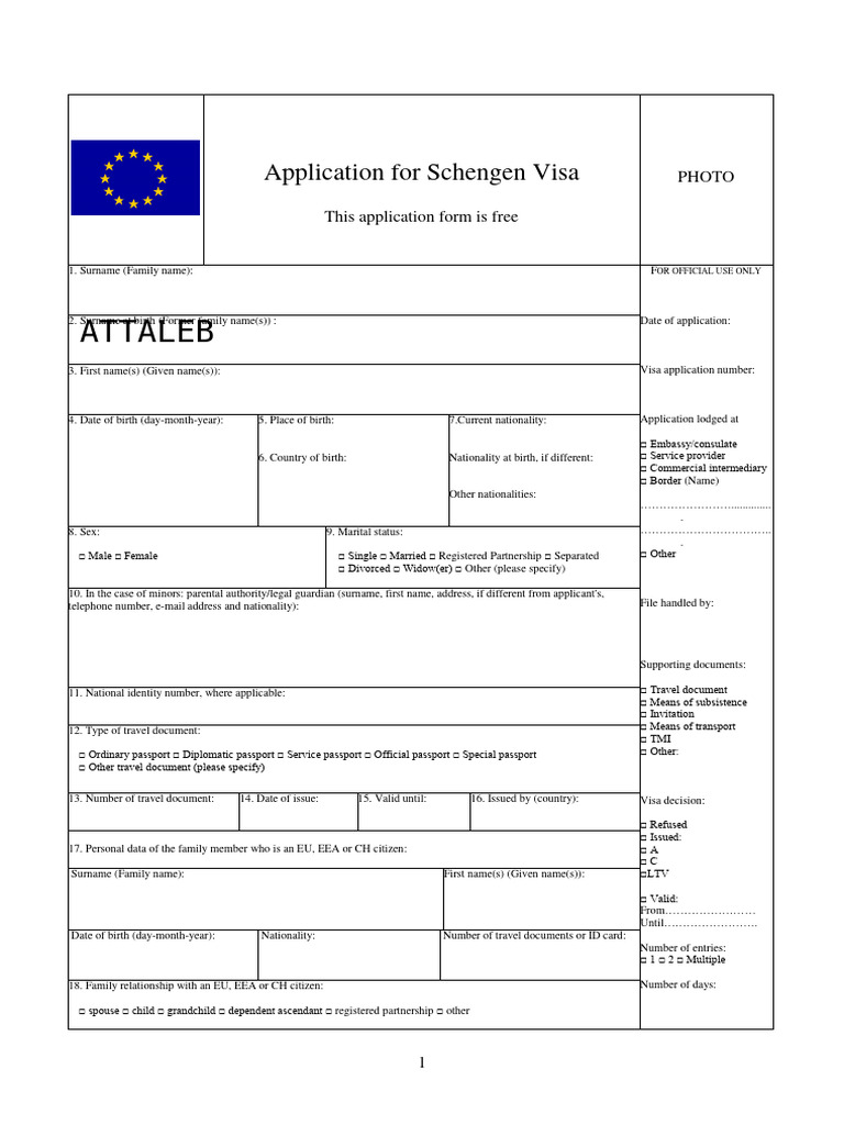 Schengen Visa Application Form For Spain and Lithuania | PDF | Travel ...