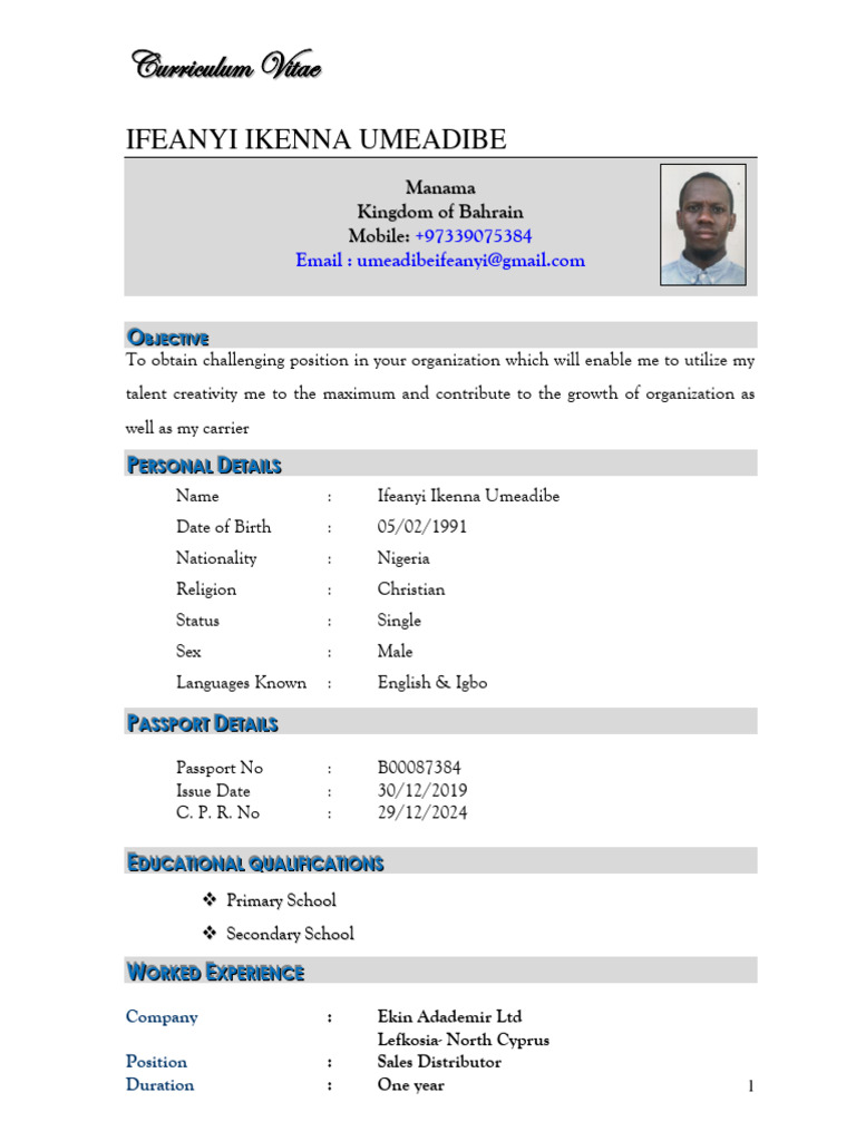 IFEANYI IKENNA UMEADIBE Sales Distributor | PDF | Human Communication | Cognition