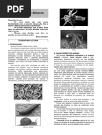 Anatomia e Reprodução do Polvo | PDF | Polvo