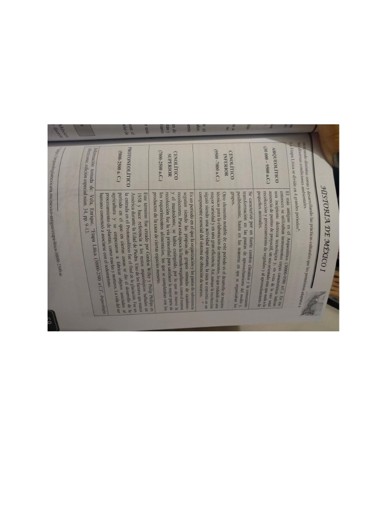 Etapa Litica | PDF
