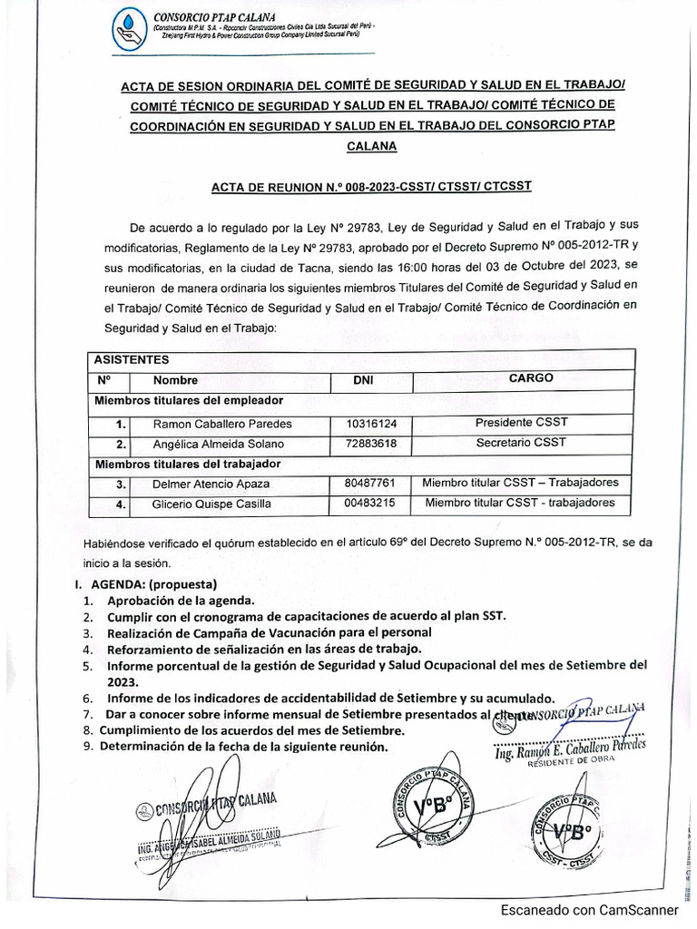 Modelo de Acta de Comite | PDF