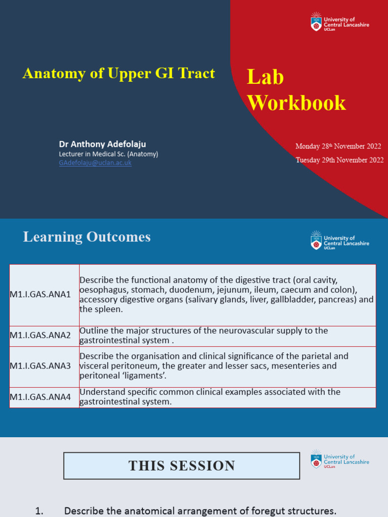 (ANSWERS) MBBS1 Upper GI Anatomy LAB Workbook - UM1010 | PDF | Liver ...