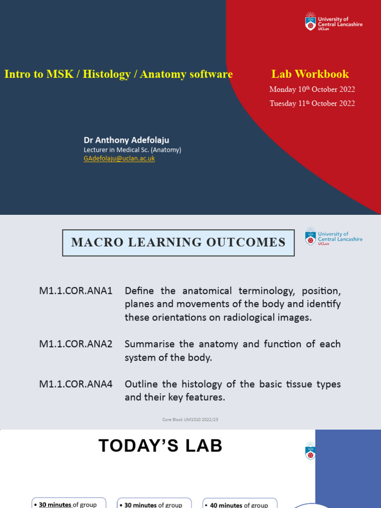 (Student-Answers) Lab Workbook Intro To MSK - Histology - Anatomy Software - UM1010 22-23 | PDF ...