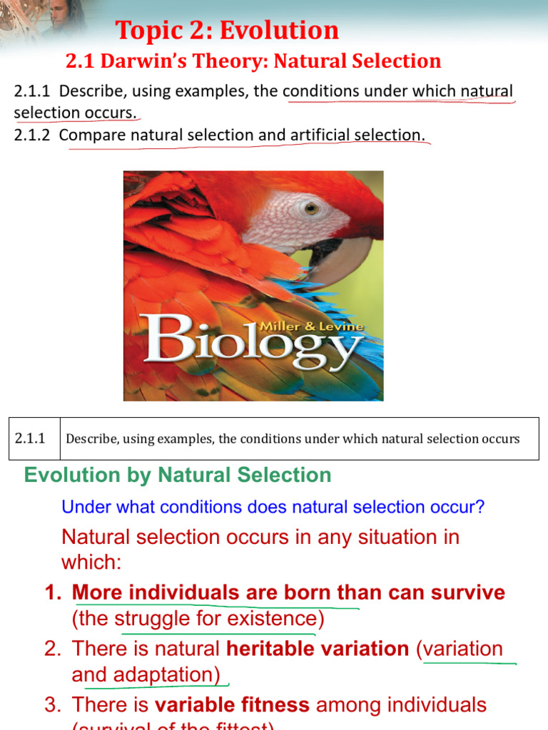 2.1 Darwin's Theory Natural Selection | PDF | Natural Selection ...